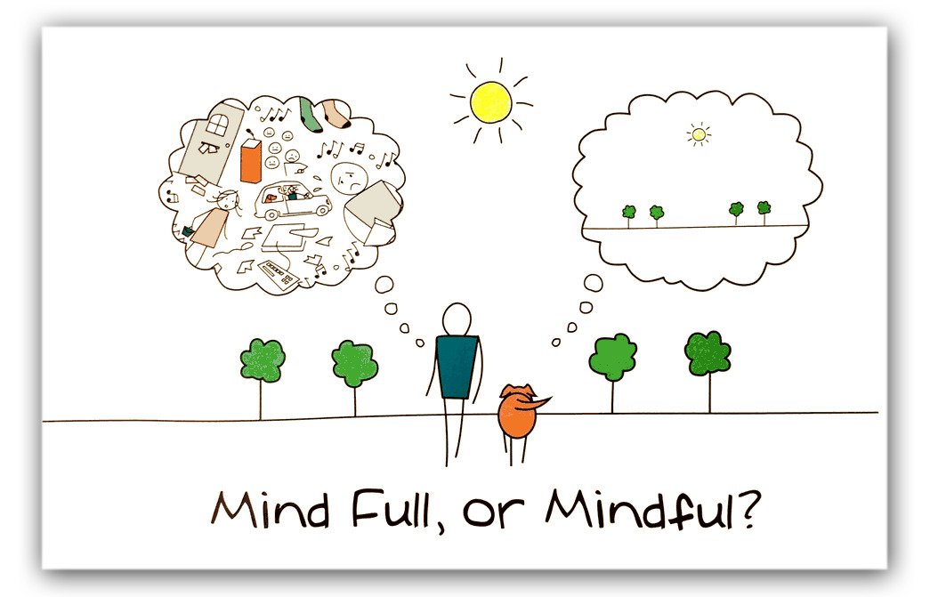 Navigating change: The Four Doors of Change ~ Daria Williamson